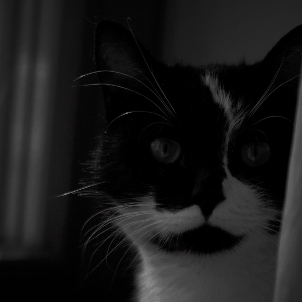 Season Two - Full Body Chills