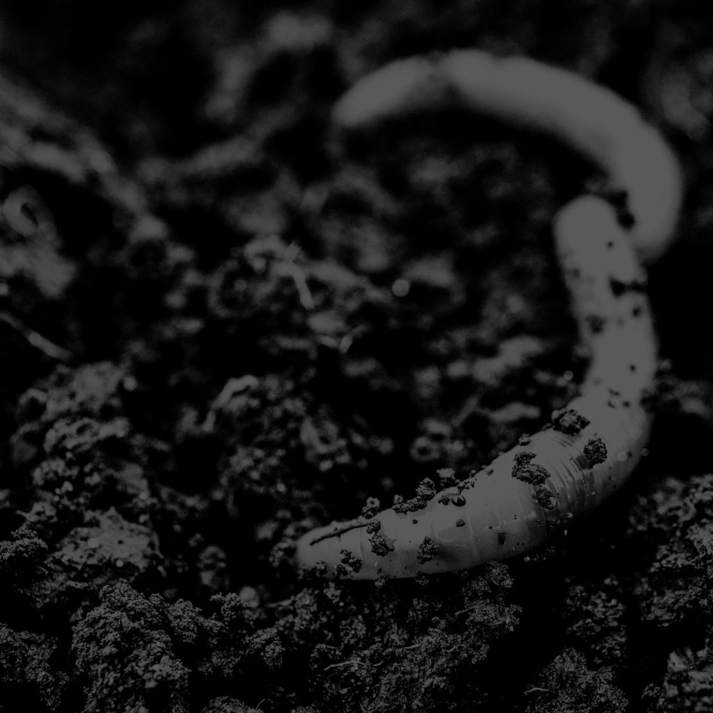 Season Two - Full Body Chills